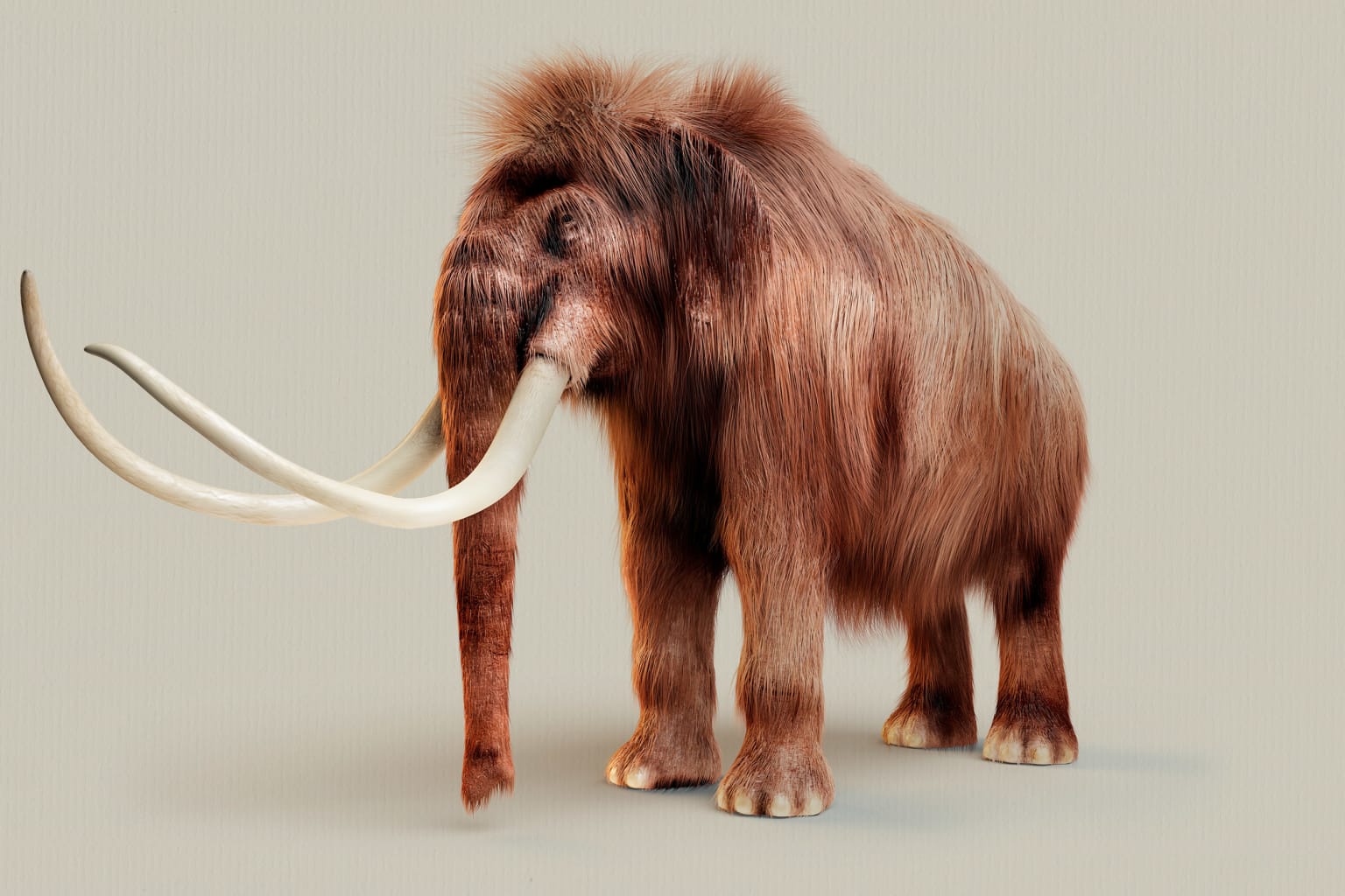 Animal de-extinction process