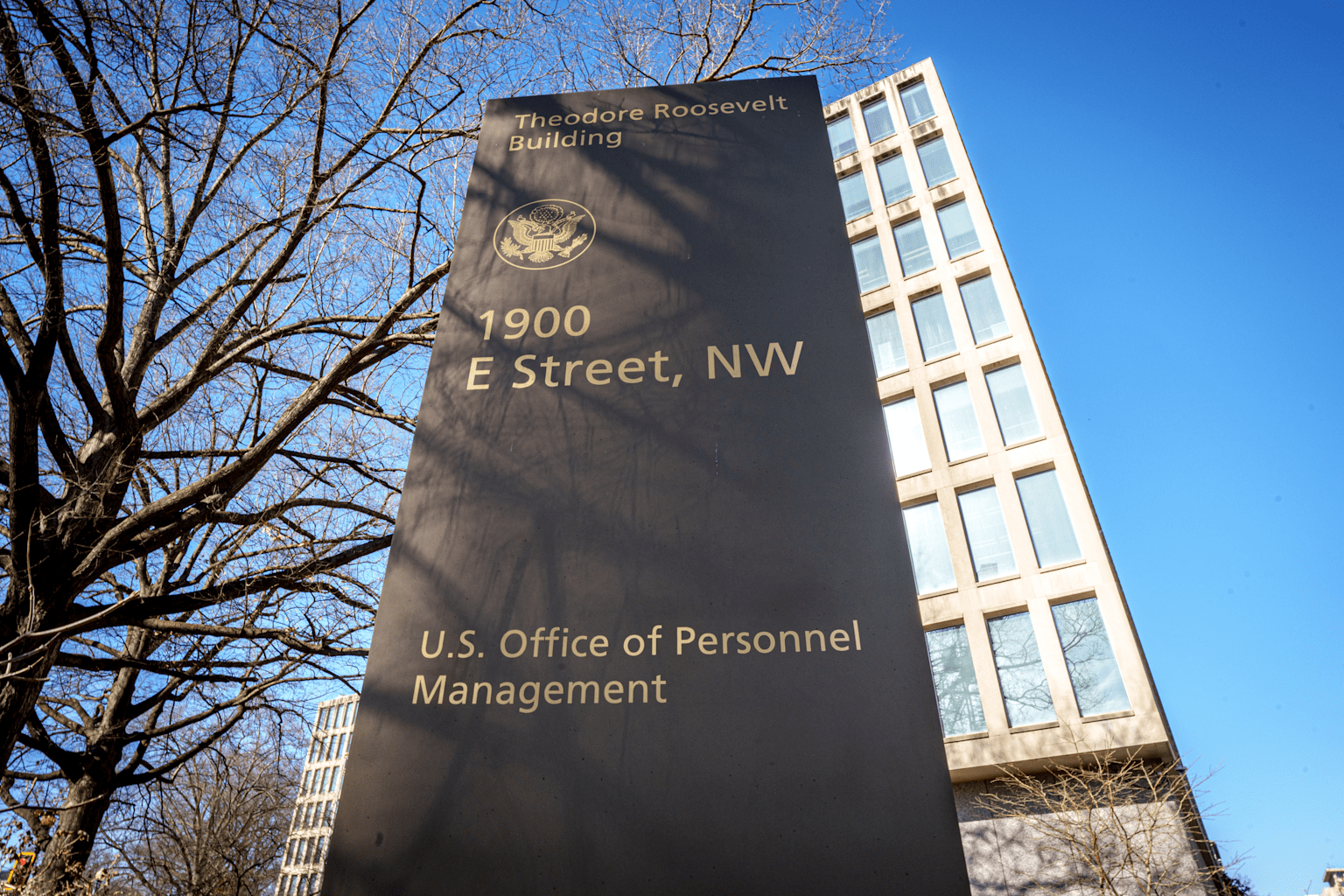 US Government Email Spammed