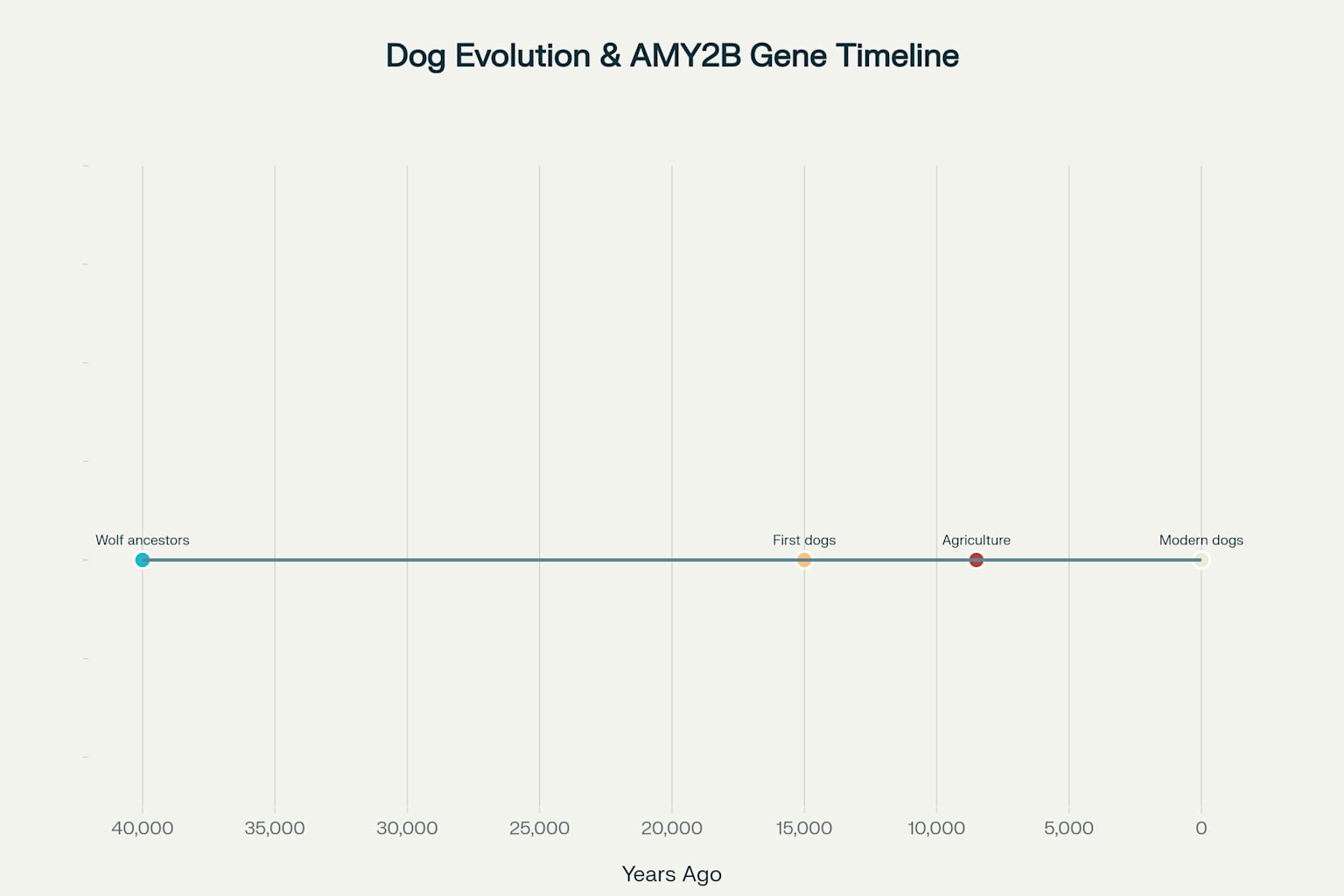 The Carnivore vs. Omnivore Debate | Are dogs omnivores or carnivores ...